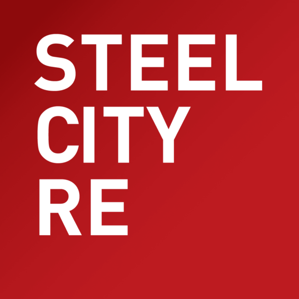 Reputation Risk Home – Steel City Re